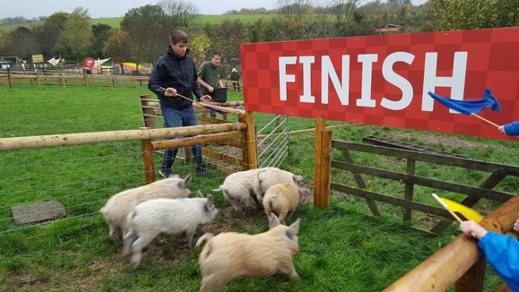 Family days out in Surrey: Bocketts Farm, Leatherhead - Confessions Of ...
